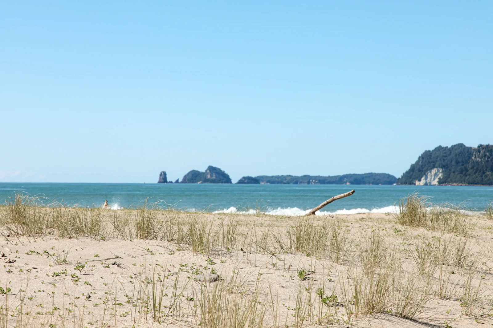 Hopper Developments Ltd - Sustainability